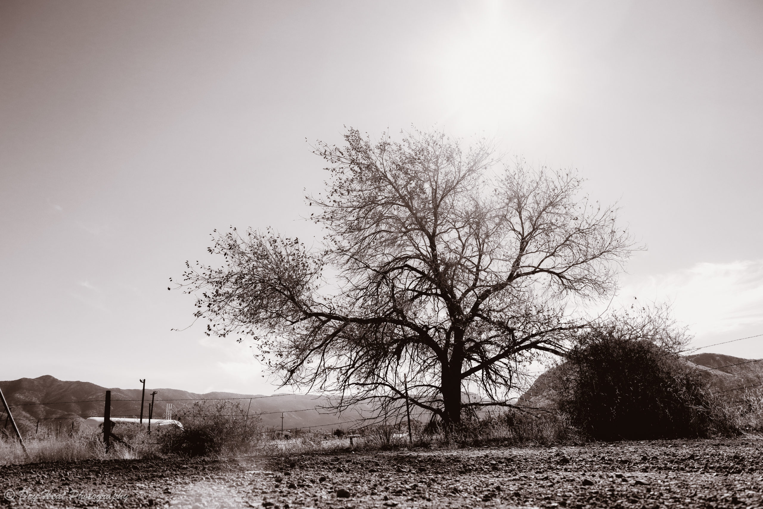 Exploring the town of Magdalena, New Mexico - Dry Heat Blog